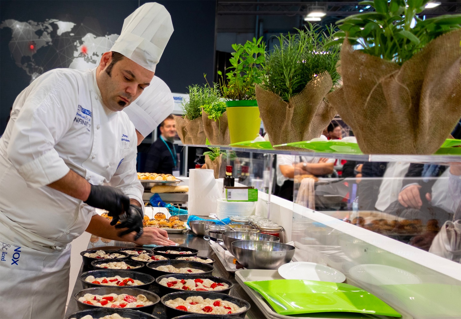 Cook and Chill ~ Afinox